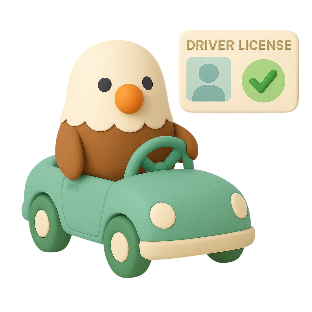 Get a US driver’s license — newcomer’s guide | SettleKit